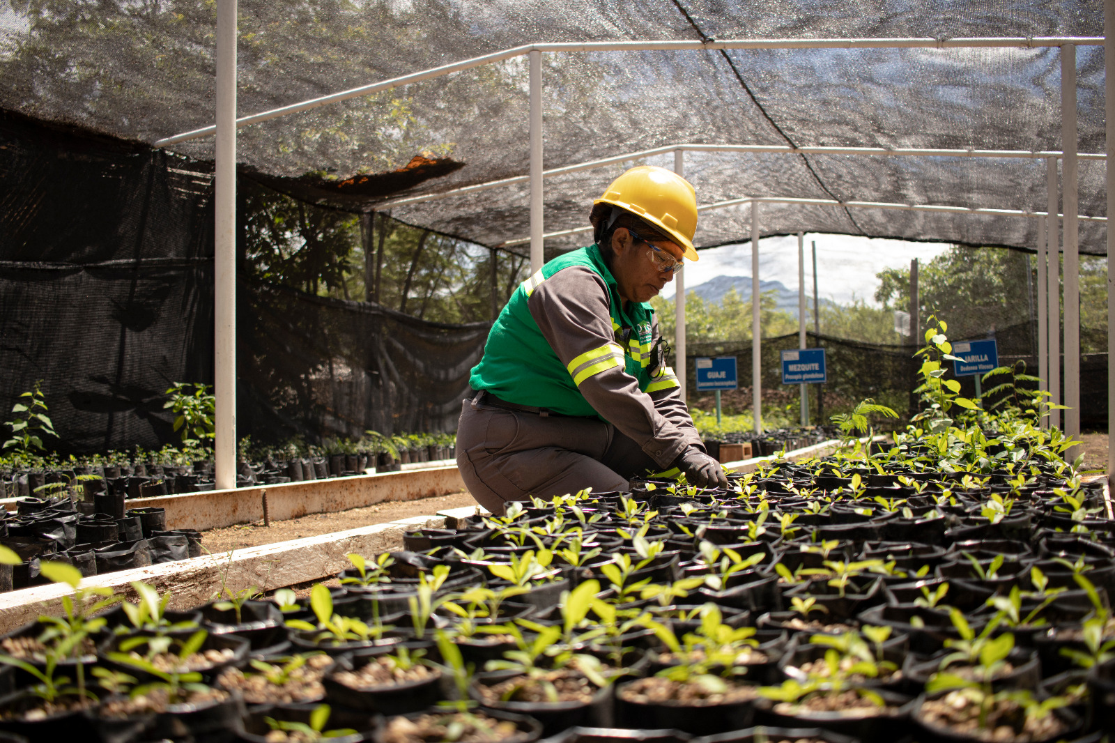 ANUNCIA COMPAÑÍA MINERA CUZCATLÁN INVERSION DE 18 MDD EN MEXICO PARA ...